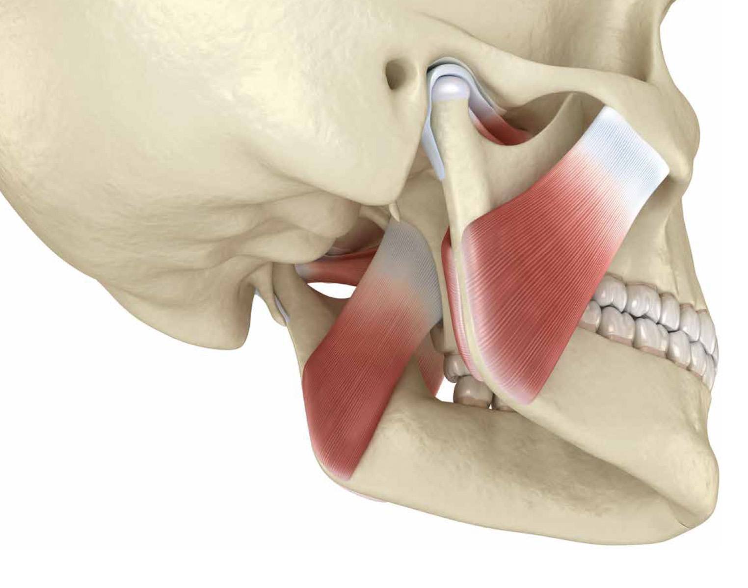 Jaw Joint Surgery Birmingham, Solihull, Sutton Coldfield | Elledge Surgical